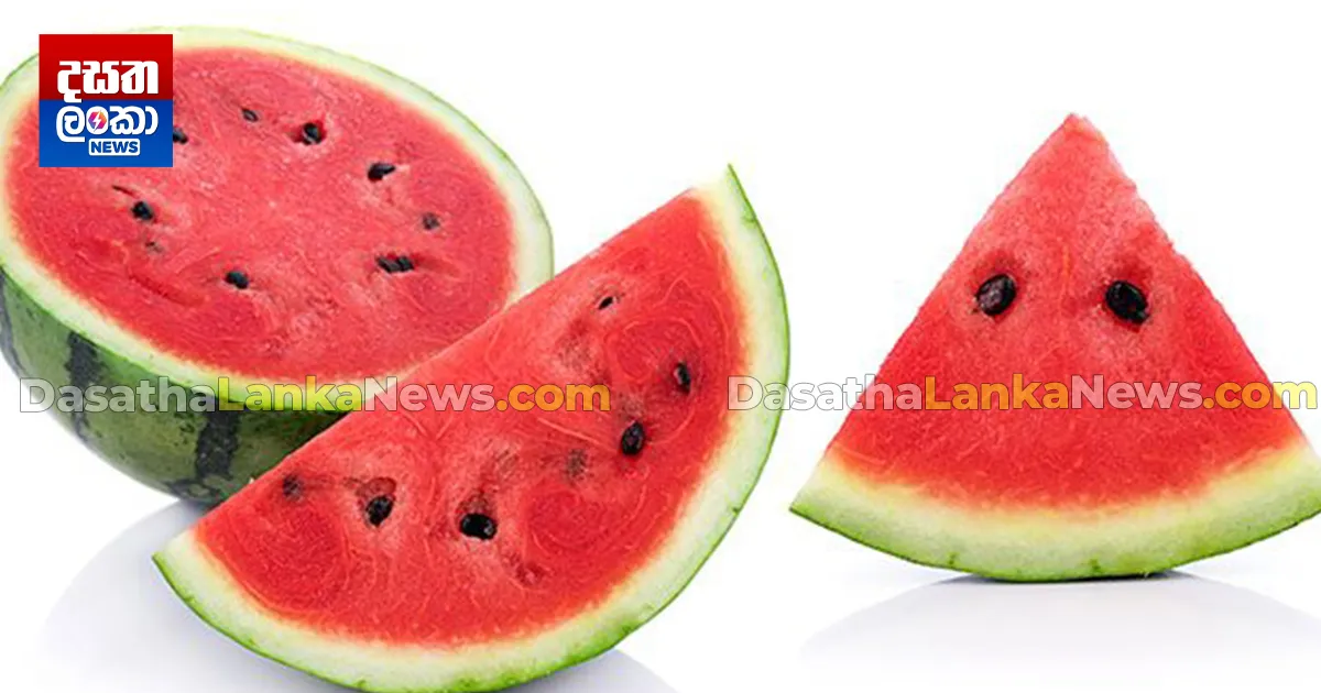 කොමඩු ආහාරයට ගැනීමෙන් ඔබට ලැබෙන සෞඛ්‍ය ප්‍රතිලාභ | Dasatha Lanka News