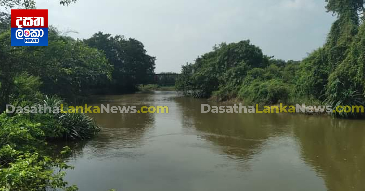 තරුණ යුවළක් මිනුවන්ගොඩ - ඕපාත පාලමෙන් දඬු ගඟට පනී (ඡායාරූප) | Dasatha ...