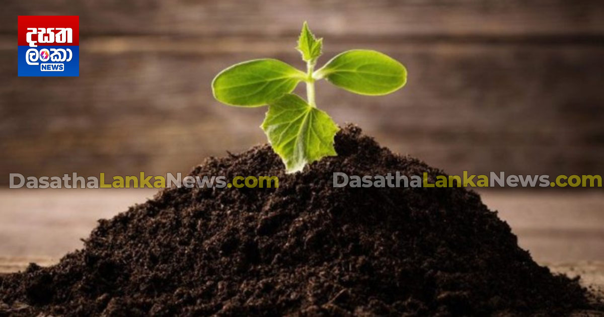 ප්‍රමිතියෙන් තොර කොම්පෝස්ට් සැපයූ සමාගමක් අසාදු ලේඛනයට | Dasatha Lanka News