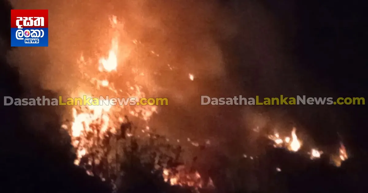 රක්ෂිතයක ගින්නක් | Dasatha Lanka News