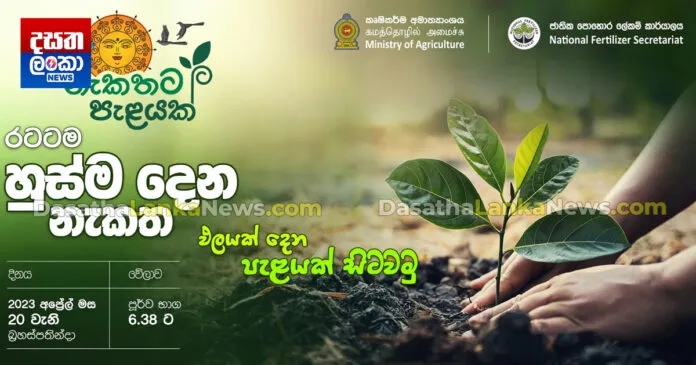 නැකතට පැළයක් - ජාතික රෝපණ නැකත 20 වැනිදා(ඡායාරූප) | Dasatha Lanka News