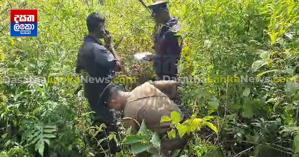 කකුලේ තුවාලයකට බෙහෙත් ගන්න රෝහලට ගිය පුද්ගලයෙකුගේ අස්ථි කොටස් ගසක් යට ...