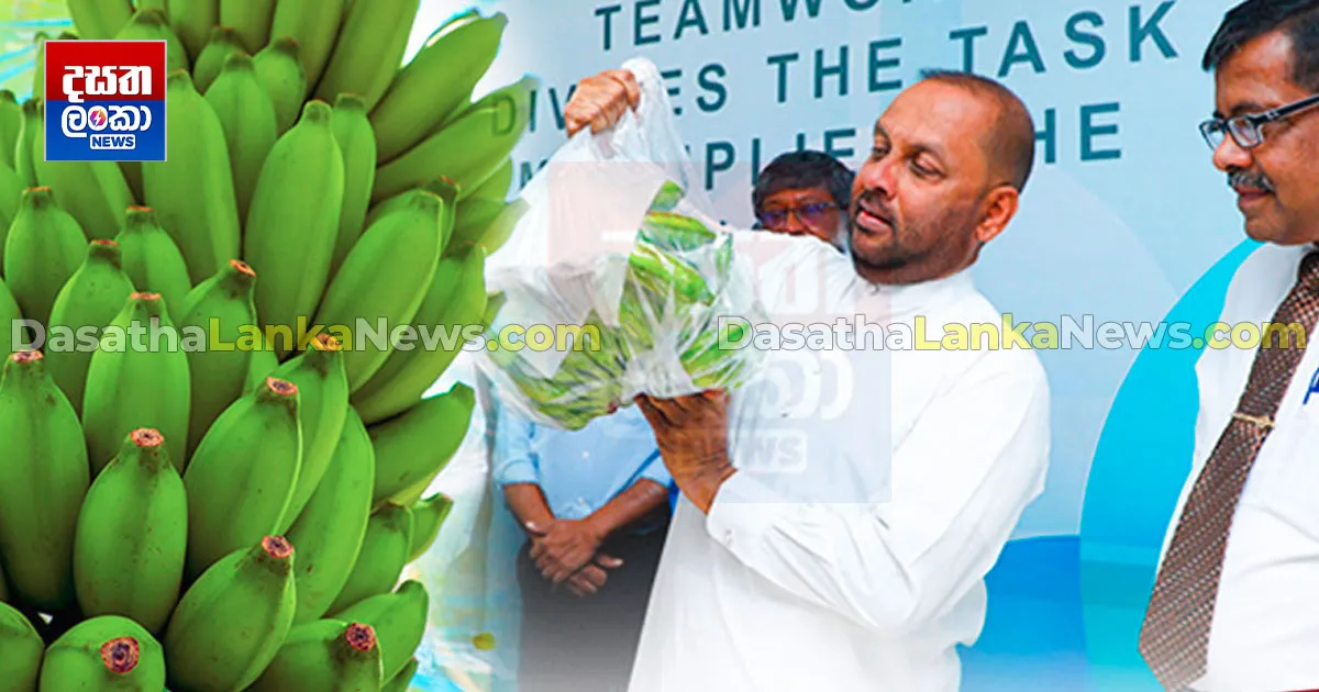 තුන්වන ඇඹුල් කෙසෙල් අපනයන සැකසුම් කර්මාන්ත ශාලාව හම්බන්තොටට | Dasatha ...