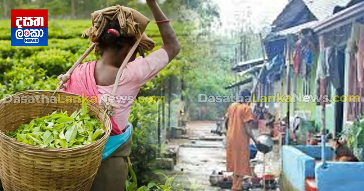 වතු ප්‍රජාව කබලෙන් ළිපට - ජීවත් වන්න සොච්චම් 1000 මදියි | Dasatha Lanka ...