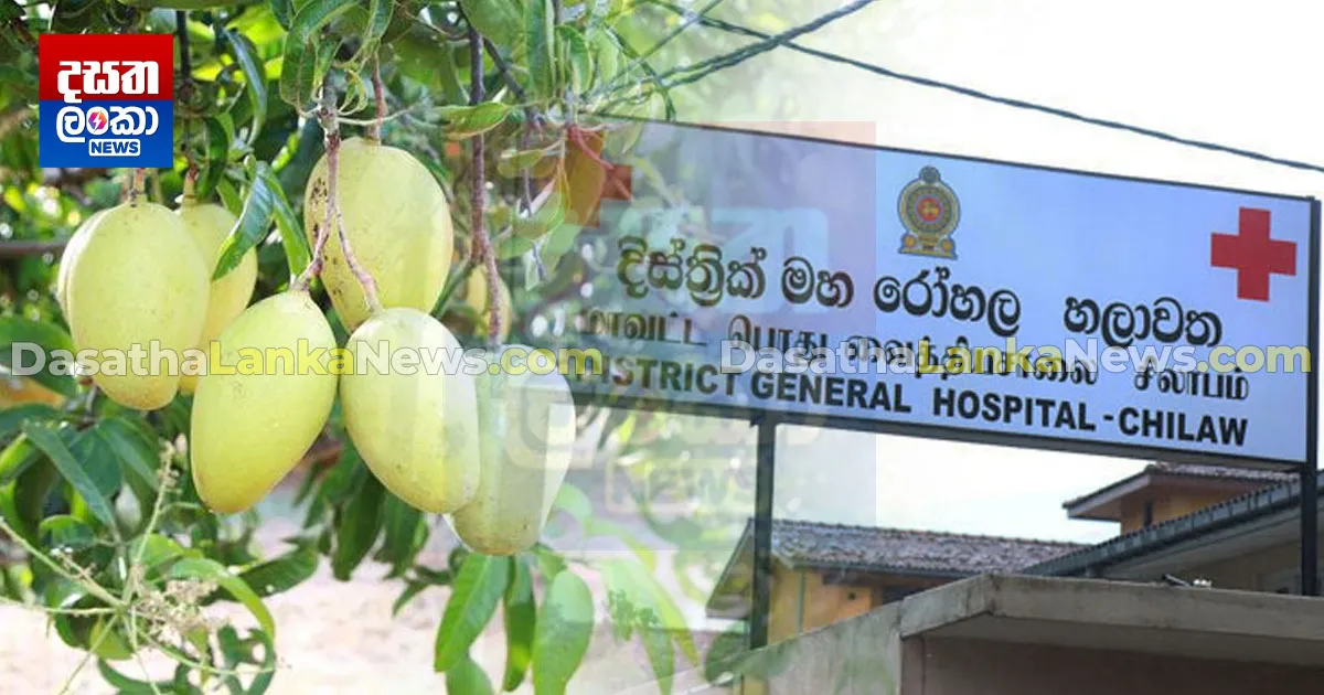 අඹ කඩන්න ගිය තරුණයා විදුලි සැර වැදී ජීවිතක්ෂයට | Dasatha Lanka News