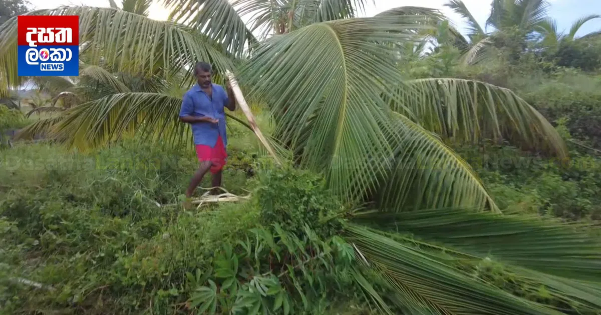 අග්බෝපුර වැසියන්ගෙන් විලාපයක් - ඉක්මනින් අපිට විසඳුමක් දෙන්න | Dasatha ...