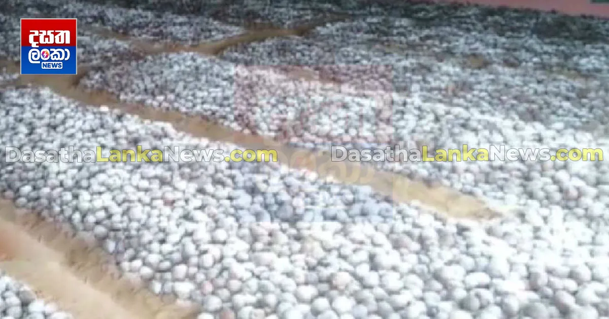 හේතුවක් හෙළි නොවූ විනාශය (වීඩියෝ) | Dasatha Lanka News