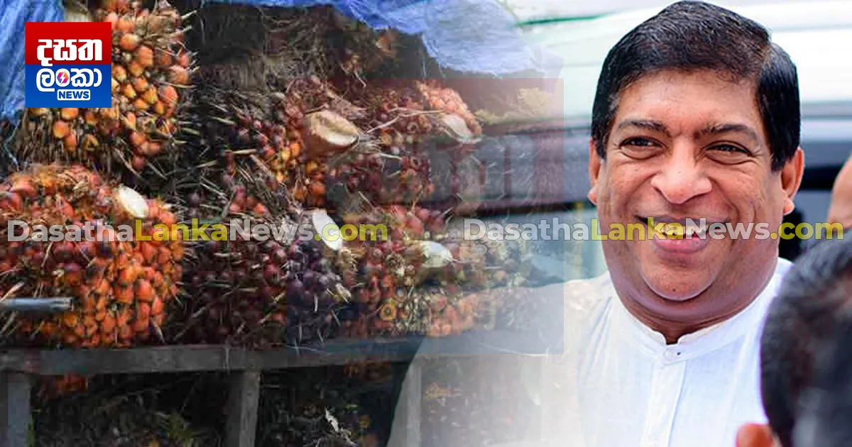 රවීගේ මැදිහත්වීමෙන් කටුපොල් තහනම ජනවාරියේ සිට ඉවතට ? | Dasatha Lanka News