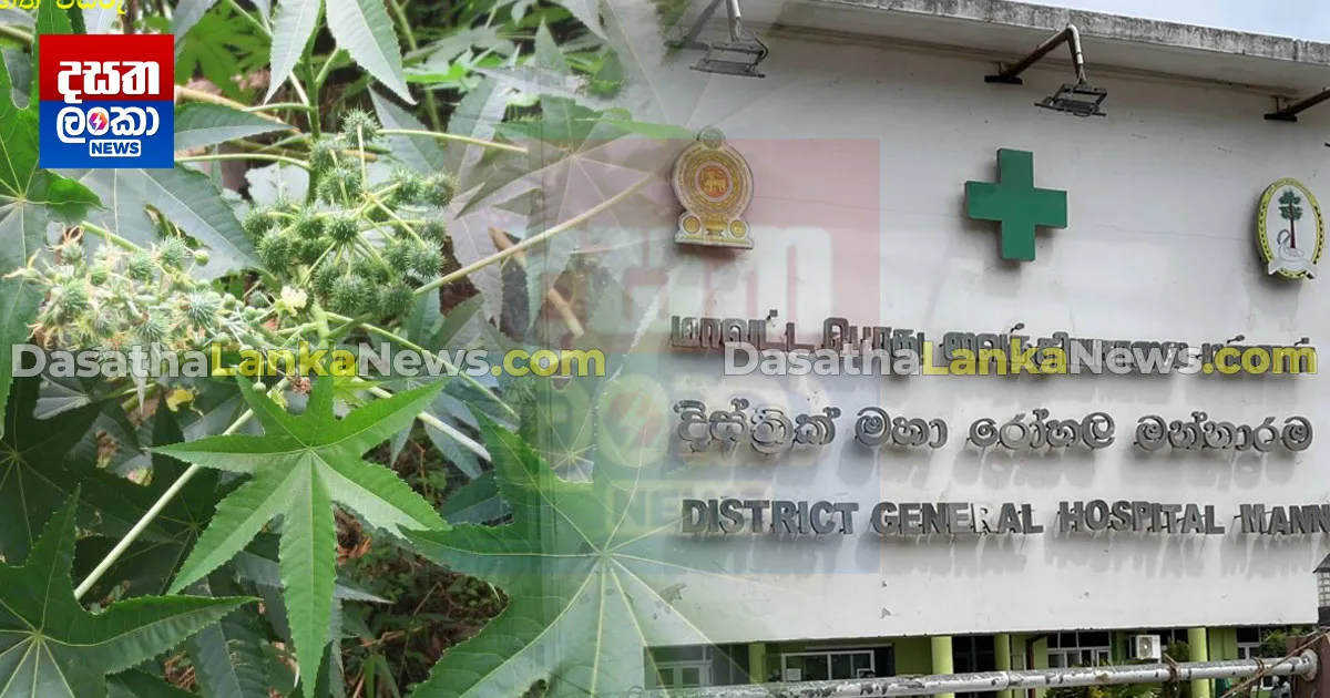 එඬරු ඇට කෑ ළමුන් පිරිසක් රෝහලේ | Dasatha Lanka News