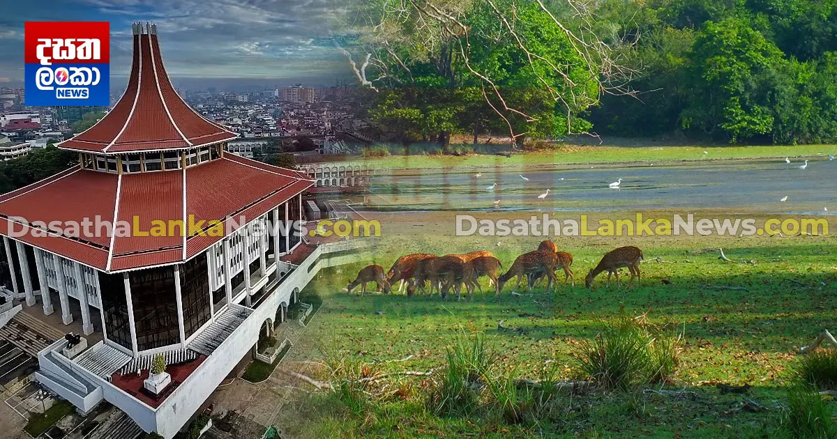 පවිත්‍රාගේ ඉස්සන් වගා කිරීමේ ගැසට්ටුවට අධිකරණයෙන් තහනමක් | Dasatha ...