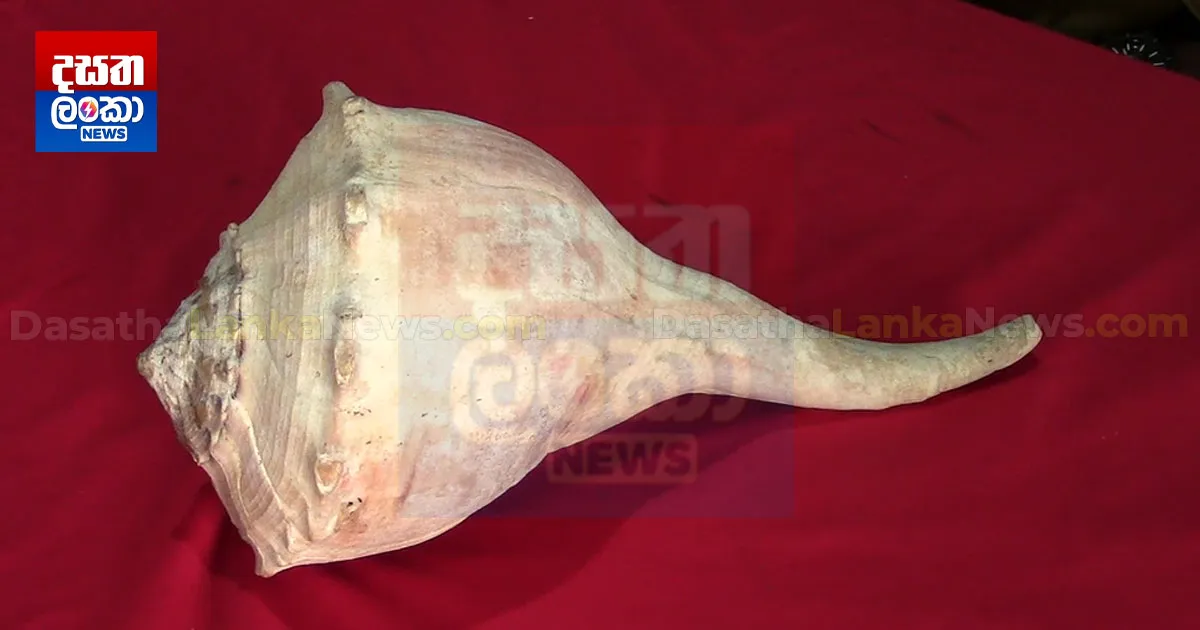 වසර එකහමාරකට පෙර සොරකම් කළ වාලම්පූරියක් ළිඳකින් මතුවෙයි (වීඩියෝ ...